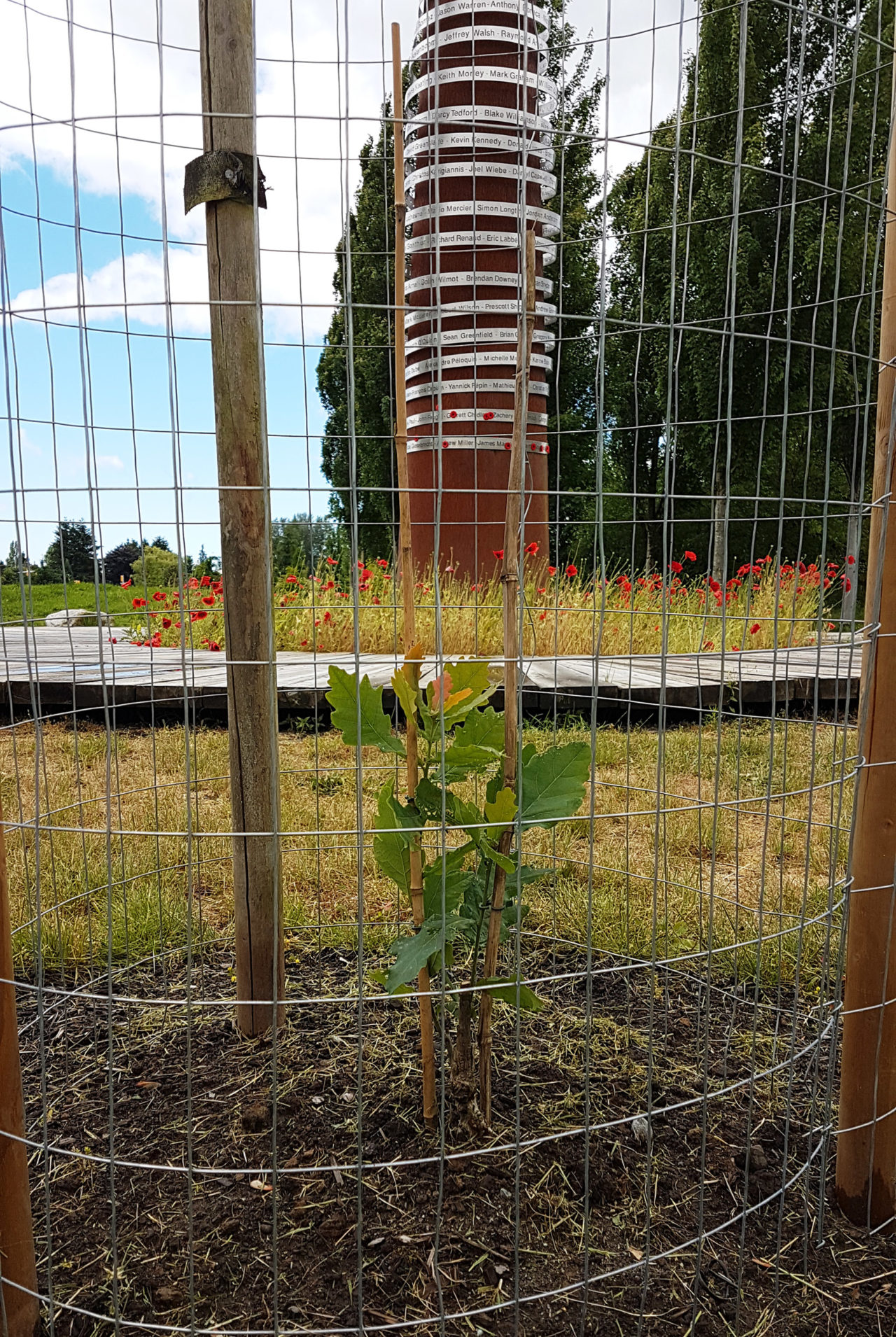 War Memorials - Arboretum Botanical Society of Langley
